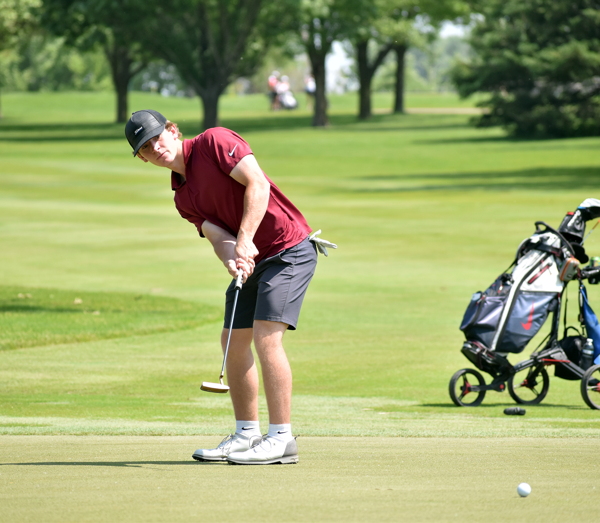 Patience pays off for Strei in standout senior year | News, Sports ...